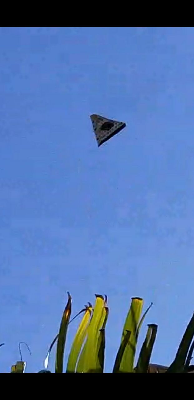 More flying triangles photographed near Orlando, Florida